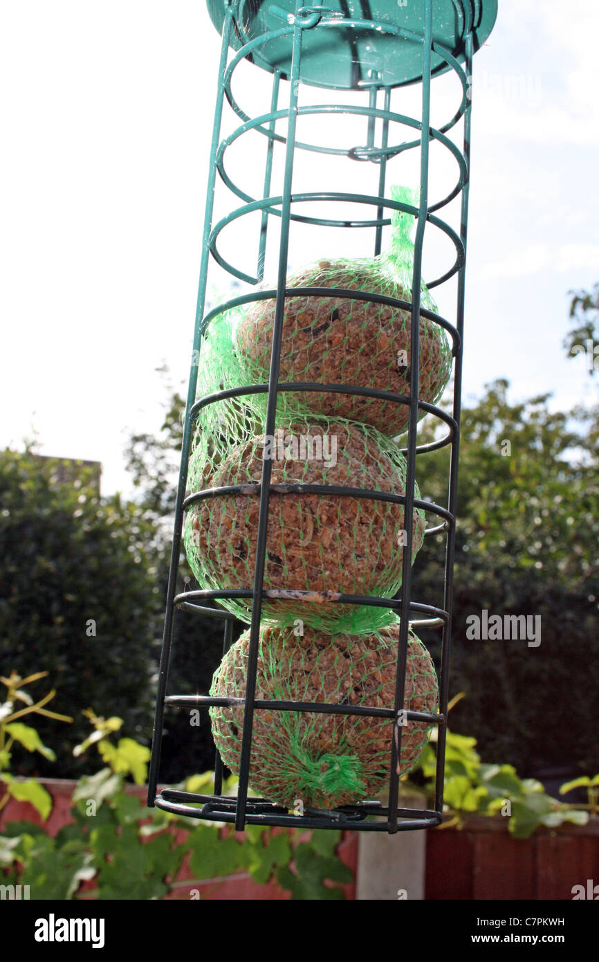 Feed and seed hi-res stock photography and images - Alamy