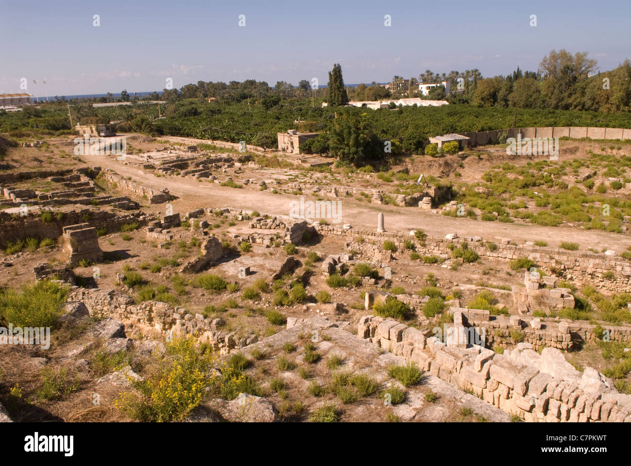 General overview of the Phoenician archaeological site of the Temple of ...