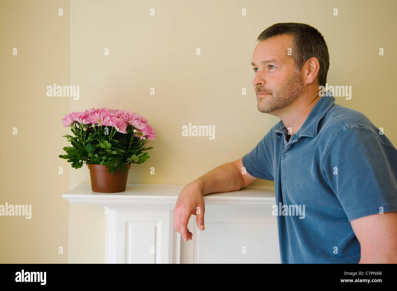 Mantle Hair High Resolution Stock Photography and Images - Alamy