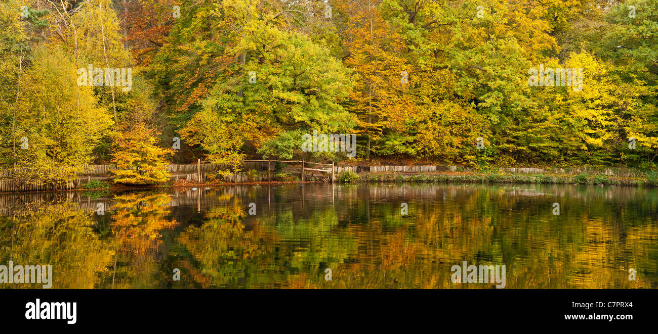 Keston Pond High Resolution Stock Photography and Images - Alamy