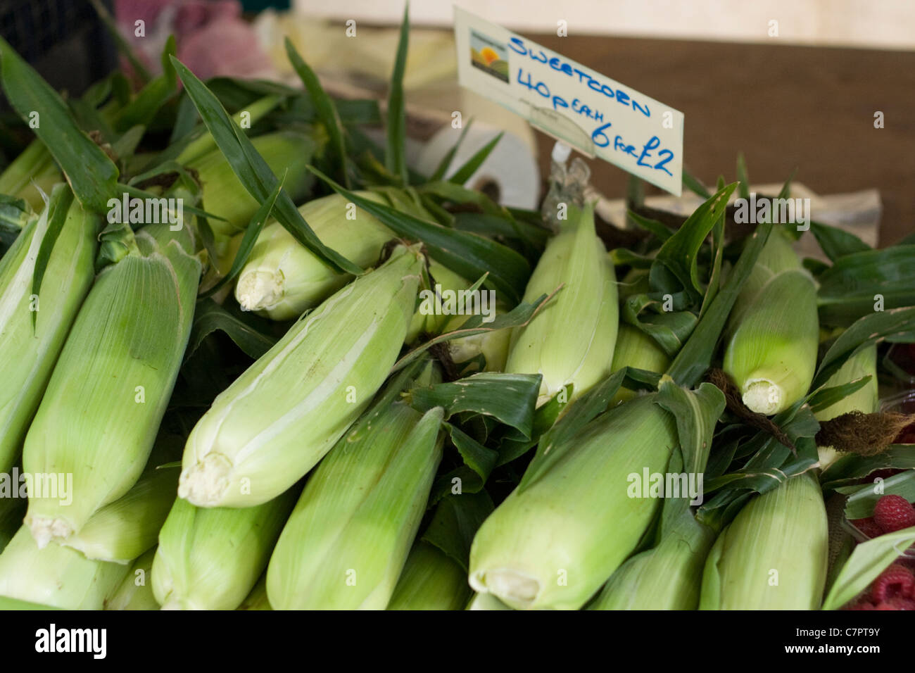 Sweetcorn cobette hi-res stock photography and images - Alamy