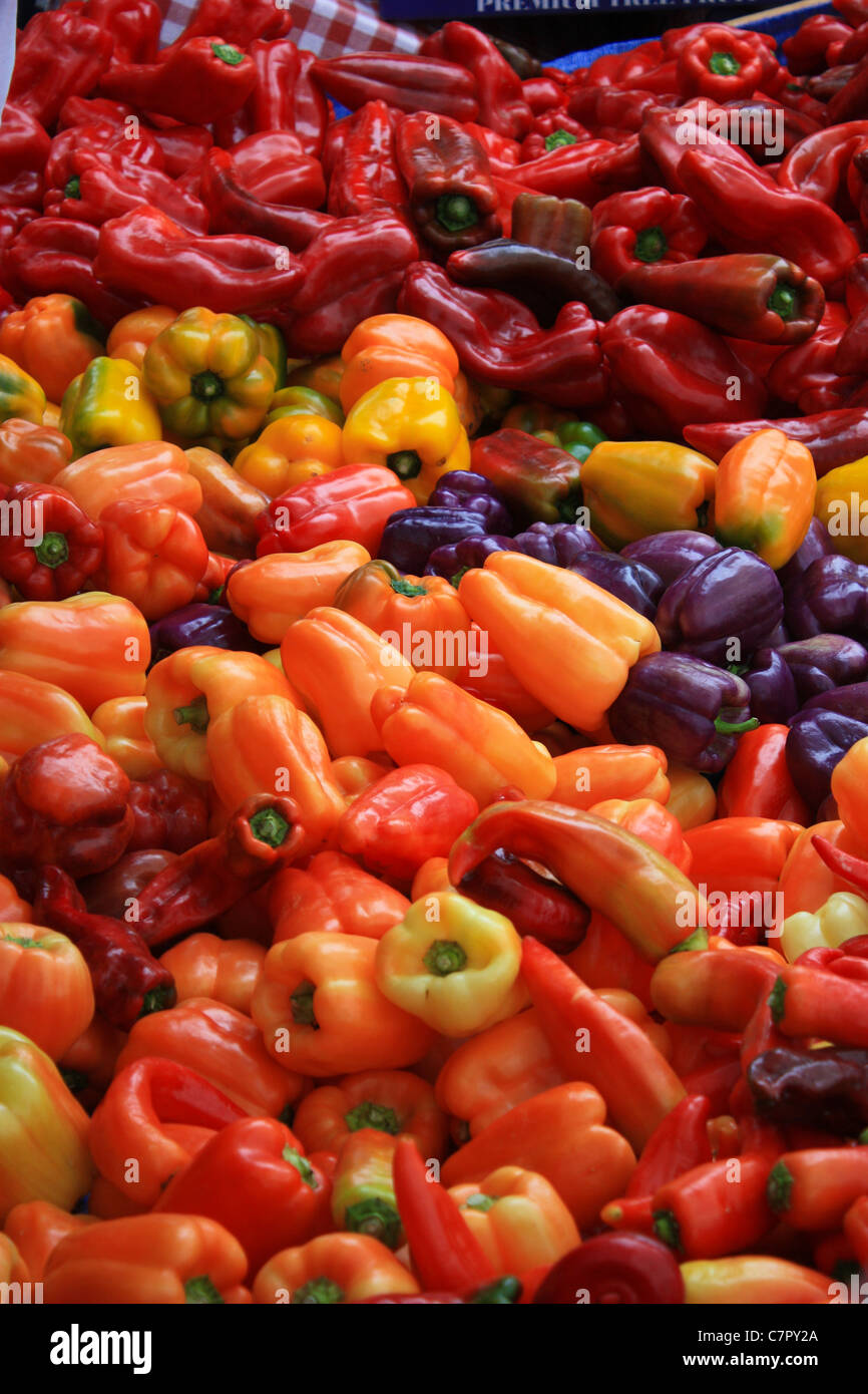 A large variety of assorted bell peppers Stock Photo - Alamy