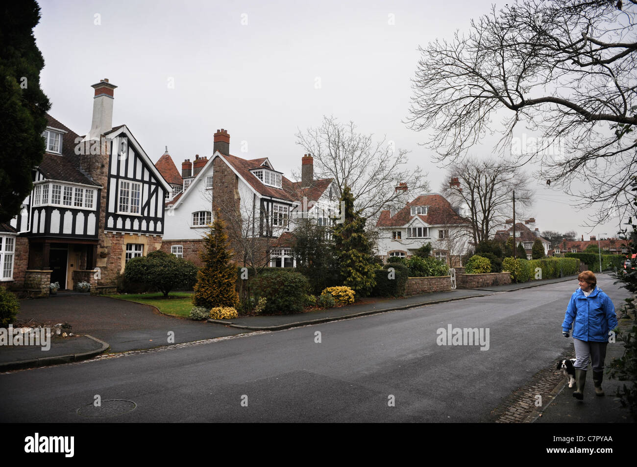 A suburban street in England UK with characteristic 'Mock Tudor' houses ...