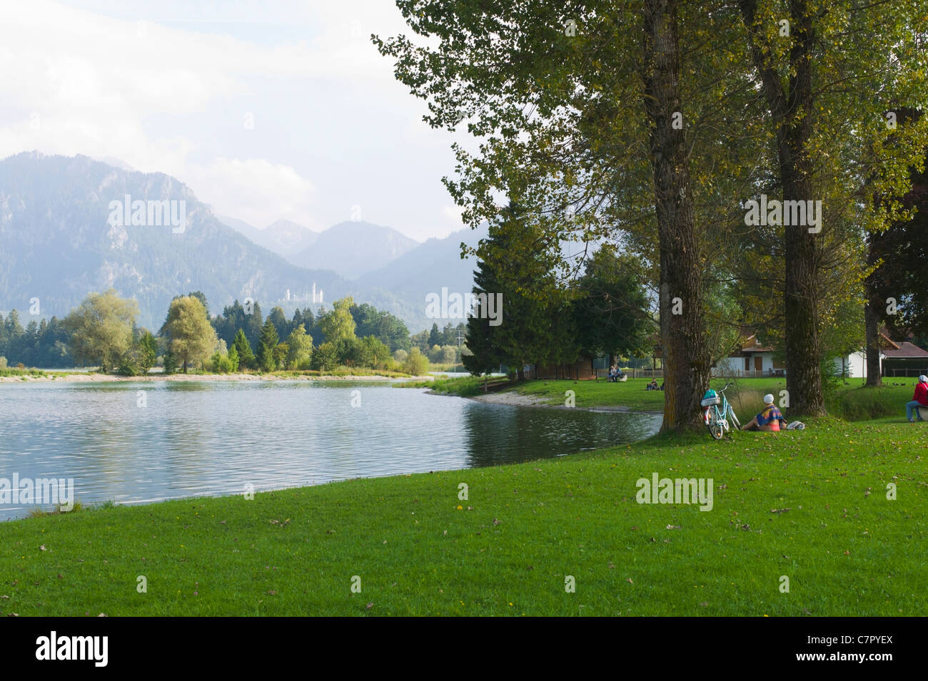 Meadow at forggensee hi-res stock photography and images - Alamy