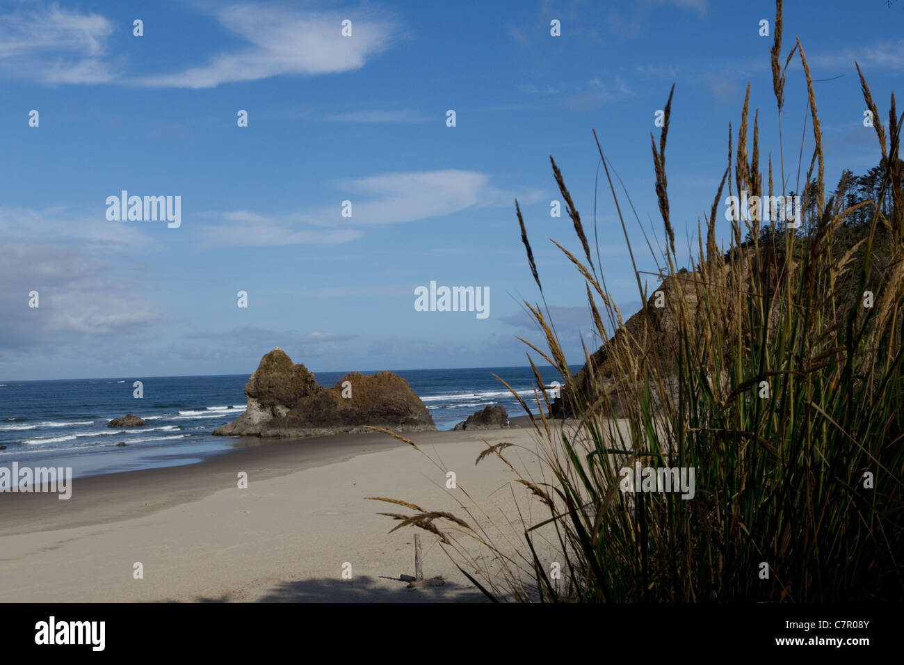 wide open beach on Oregon Coast Stock Photo - Alamy