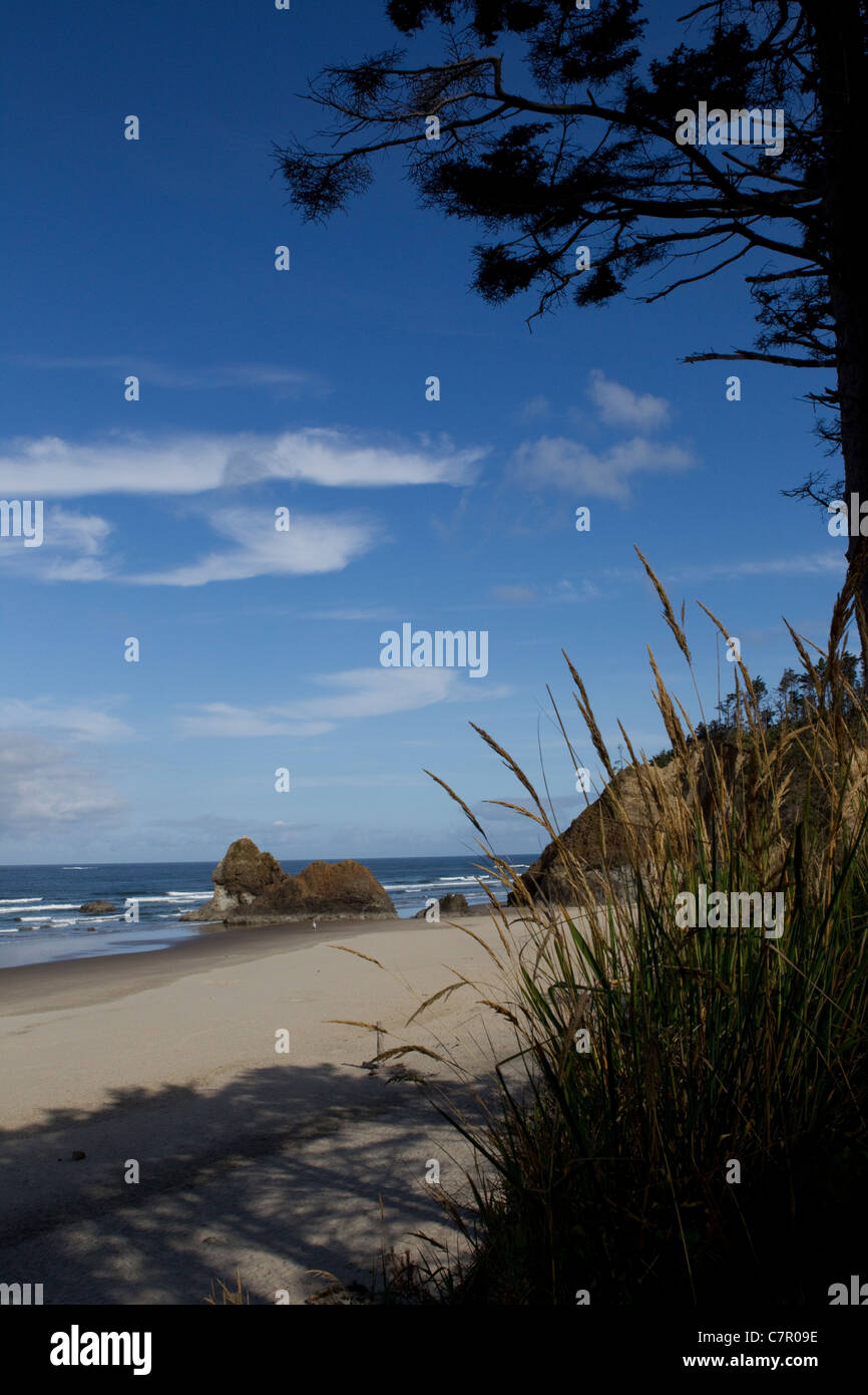 wide open beach on Oregon Coast Stock Photo - Alamy