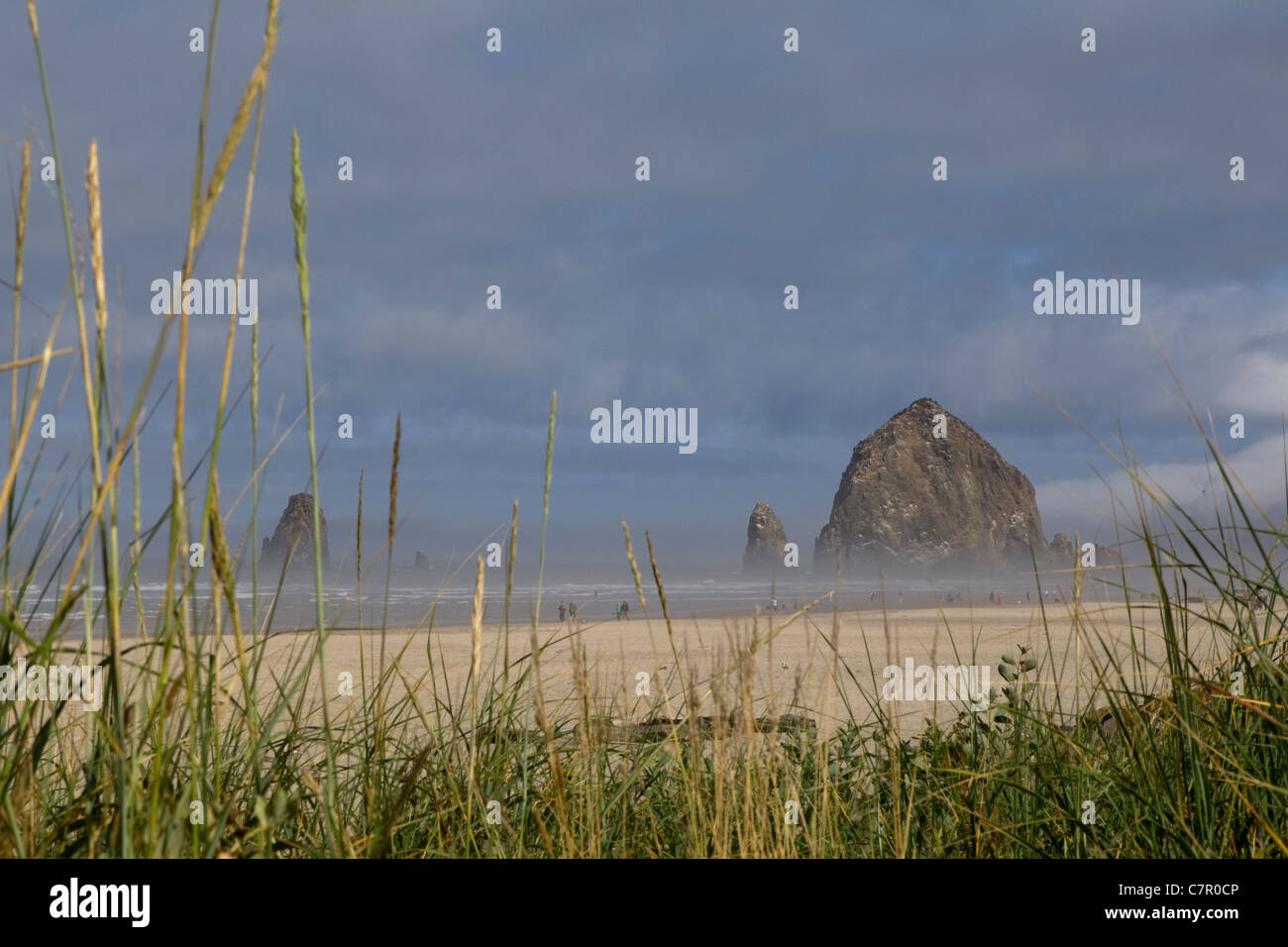 wide open beach on Oregon Coast Stock Photo - Alamy