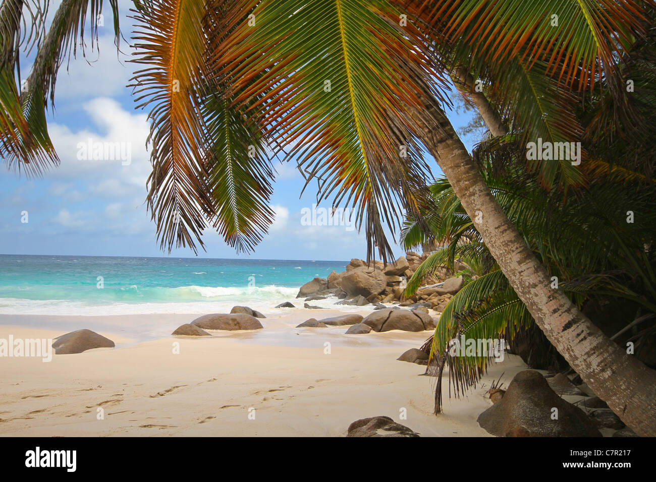 Beautiful anse intendance hi-res stock photography and images - Alamy