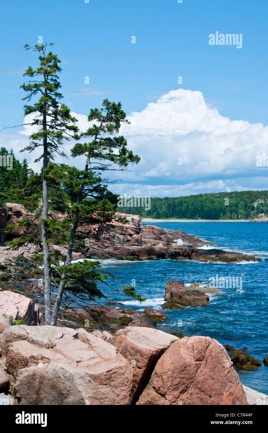 Cliffs next to Thunder Hole Acadia National Park Maine Stock Photo - Alamy