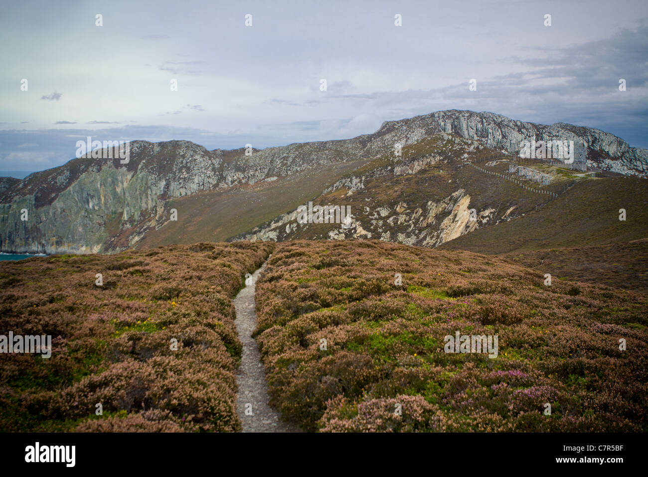 Photograph of South Stack, Anglesey, Wales, UK Stock Photo - Alamy