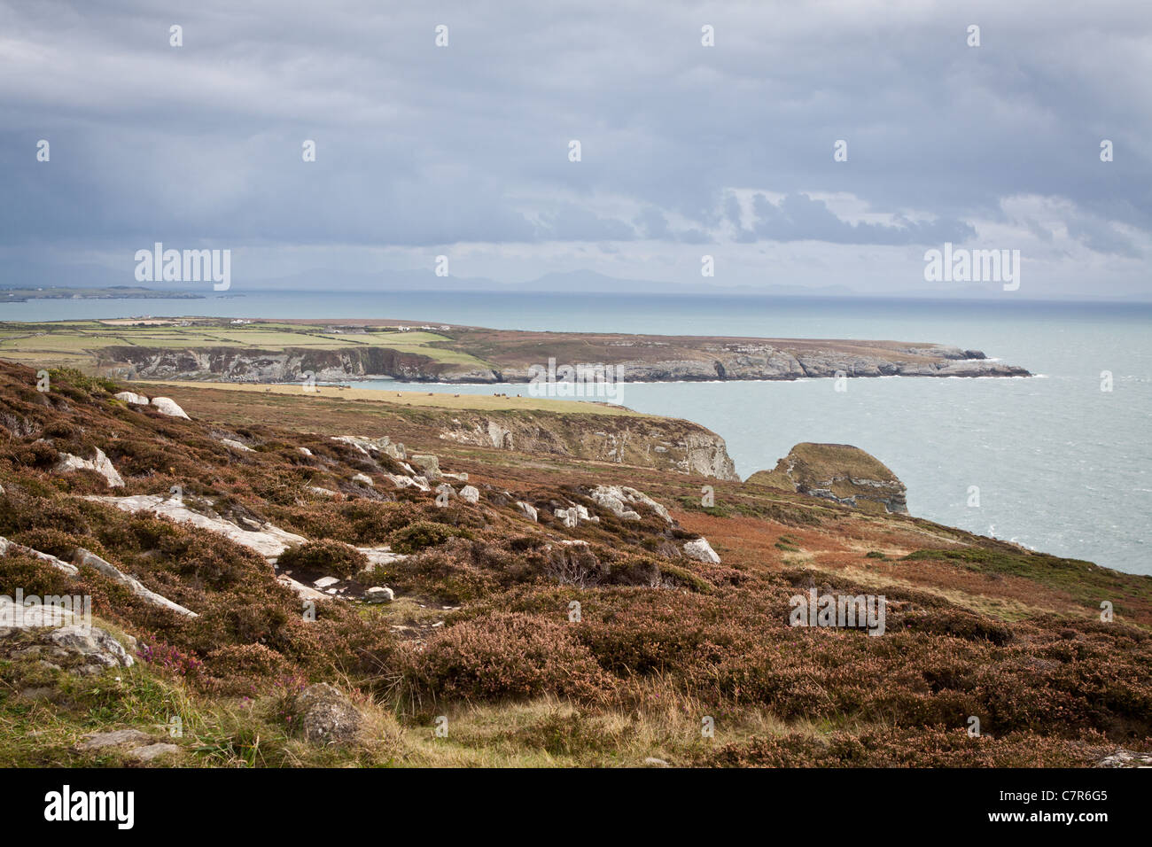 A photograph of the coast at South Stack, Anglesey, Wales, UK Stock ...