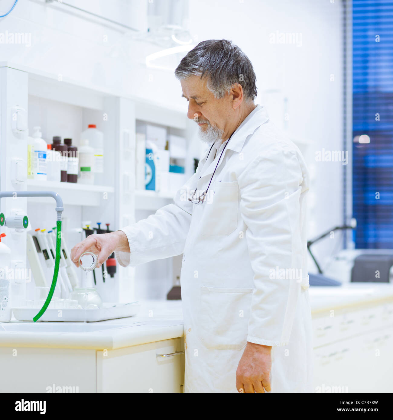 senior male researcher carrying out scientific research in a lab Stock ...