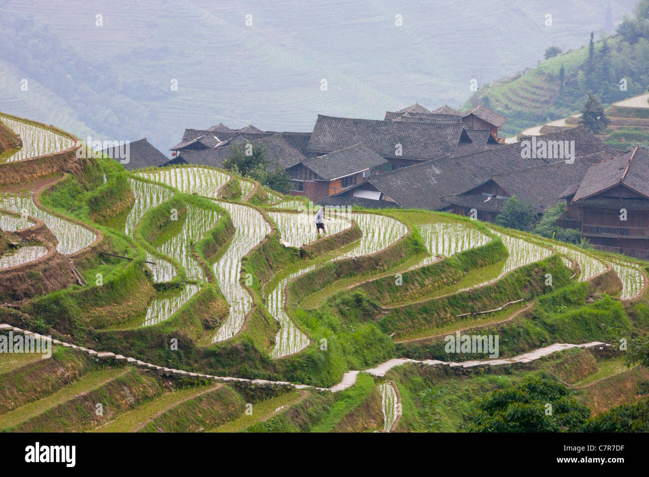 Village houses with rice terraces in the mountain, Longsheng, Guangxi ...