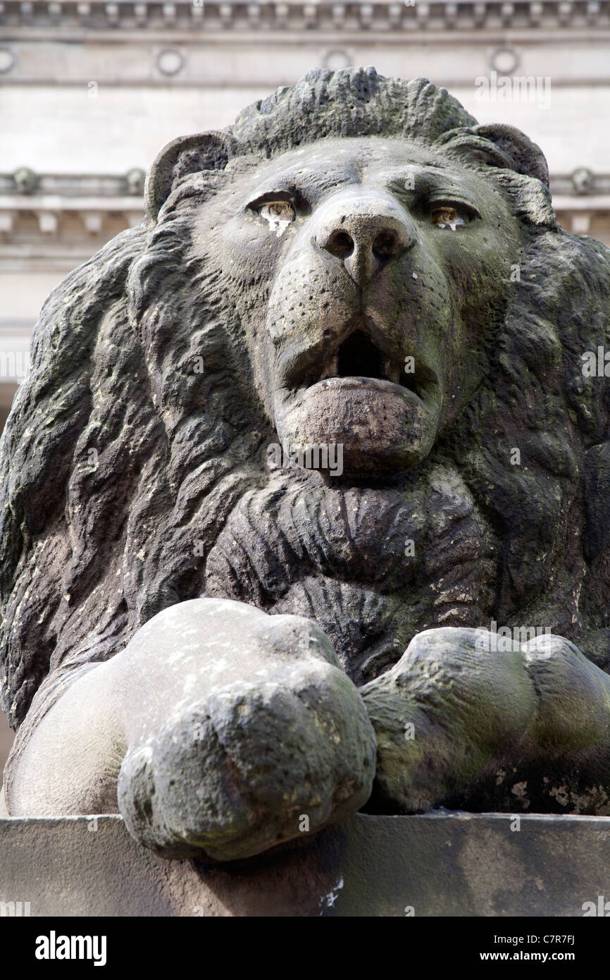 Lion statue on the plateau outside St George's Hall, Liverpool Stock ...