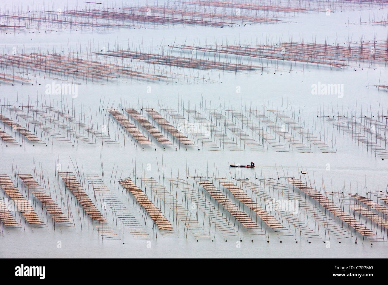 Fish boats sailing through seaweed farm on the beach, East China Sea ...