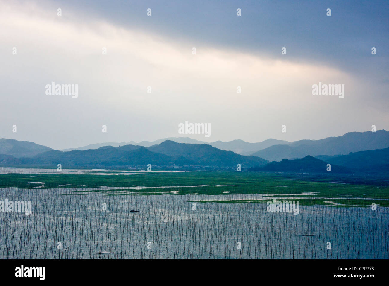 Seaweed farm in the ocean, East China Sea, Xiapu, Fujian, China Stock ...