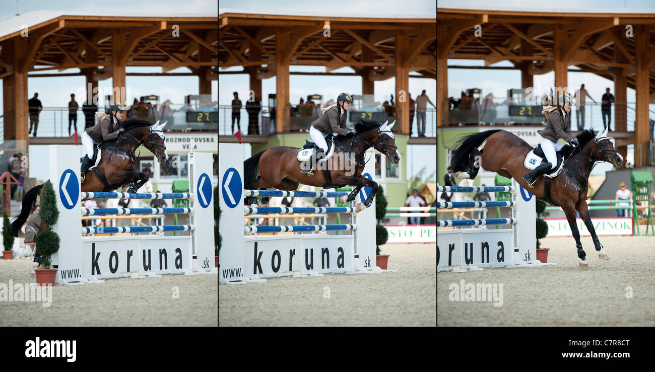 Animal sequence jump horse hi-res stock photography and images - Alamy
