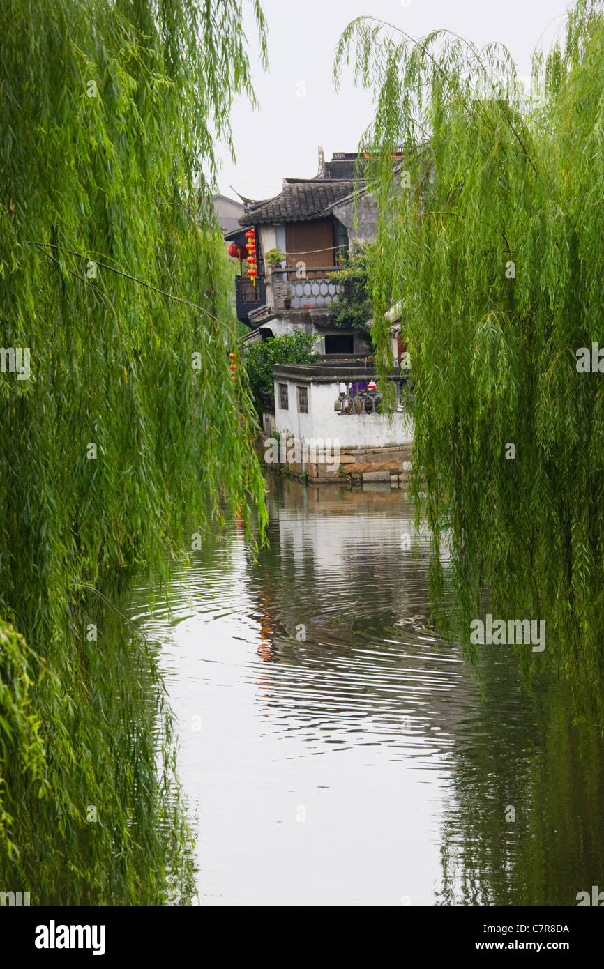 Willow tree and old residence along the Grand Canal, Xitang, Zhejiang ...