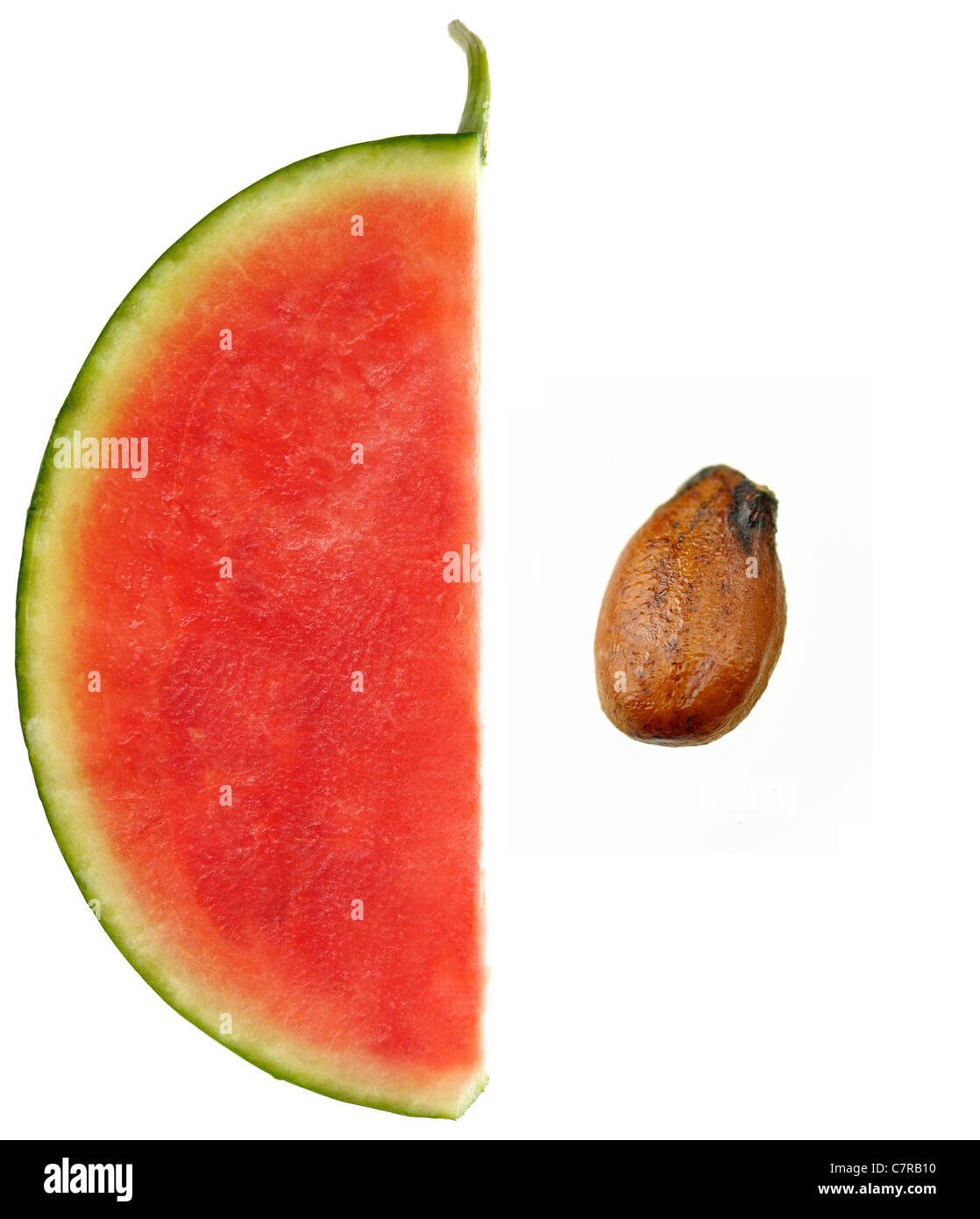 Cross section of watermelon , close up Stock Photo - Alamy
