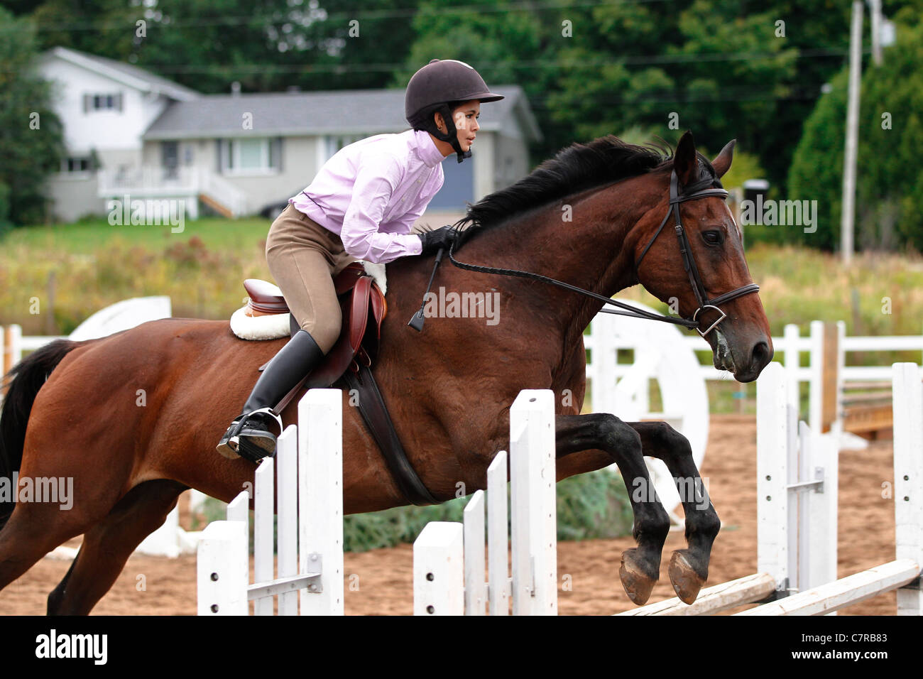 Hunter Horse Jumping Silhouette