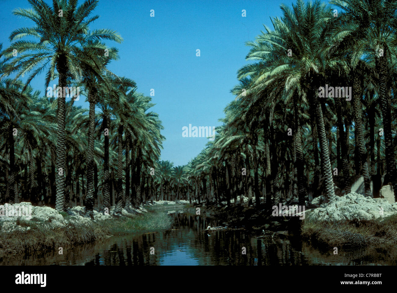 Old basra canal hi-res stock photography and images - Alamy