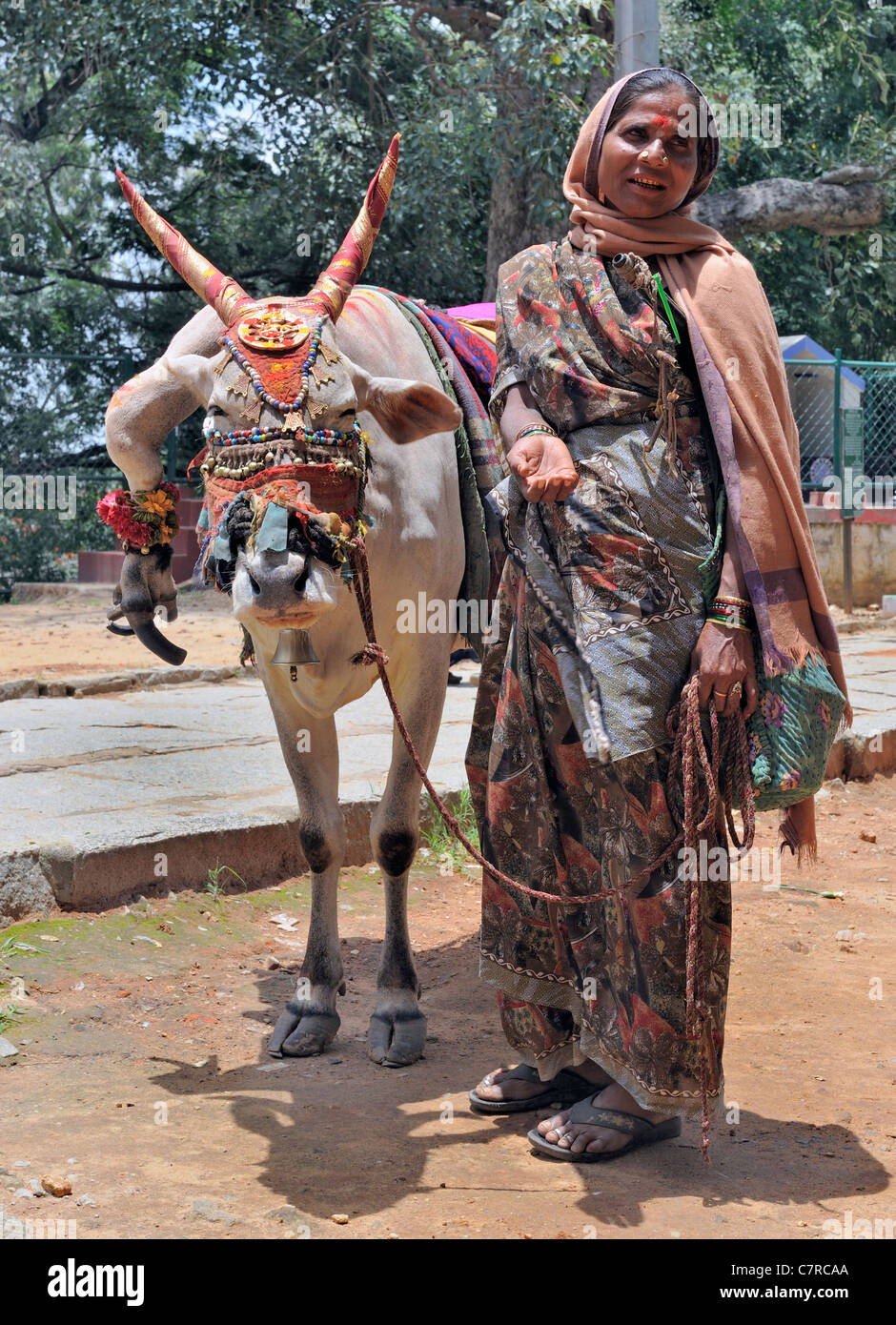 Five legs hi-res stock photography and images - Alamy