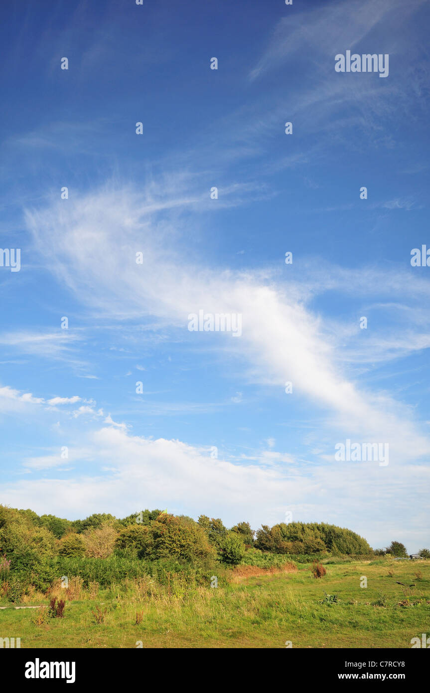 Ditchling common hi-res stock photography and images - Alamy