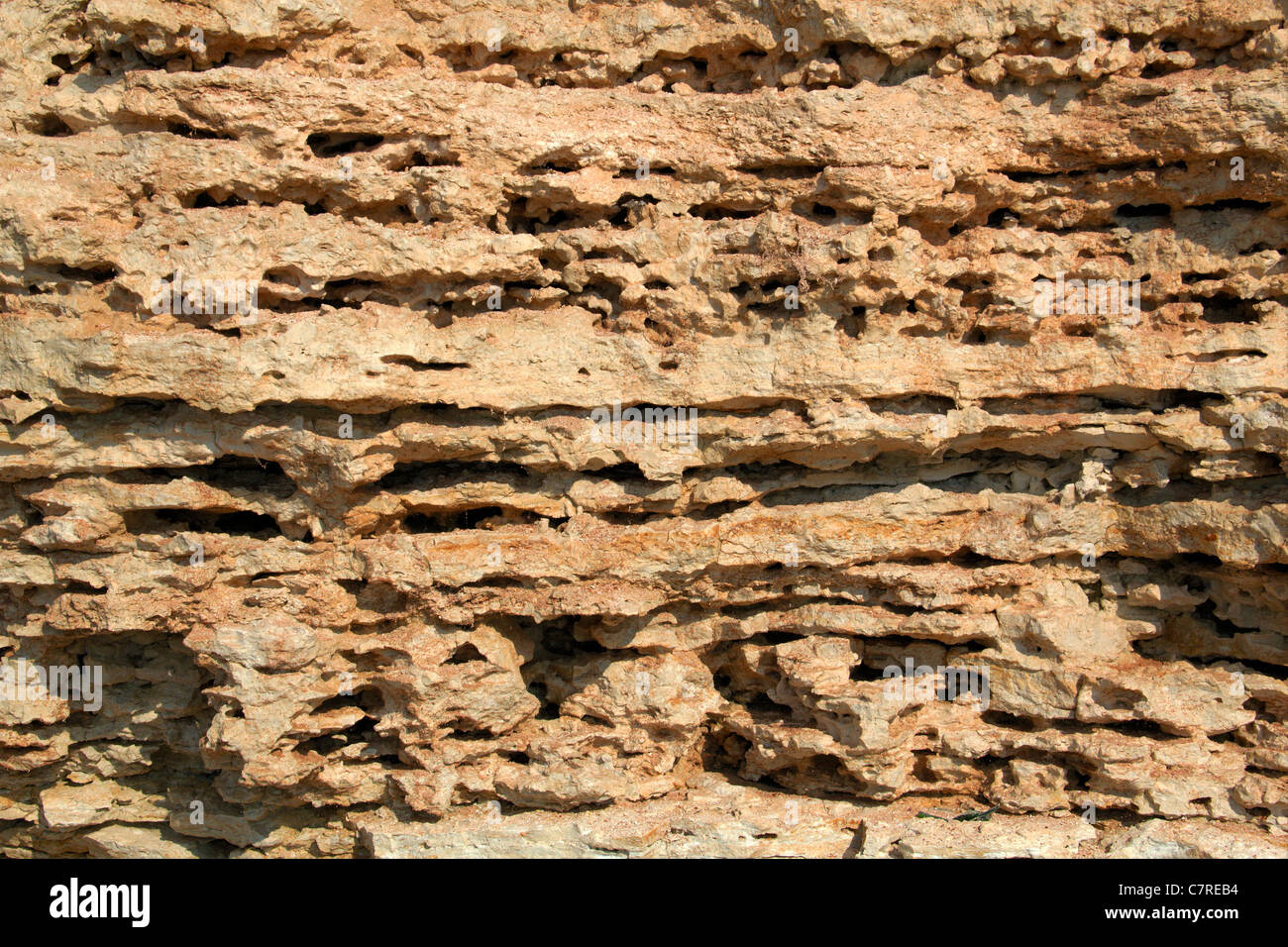The limestone texture Stock Photo - Alamy