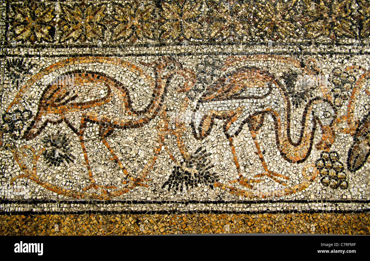 Mosaic of goats on the floor of the Church of the Holy Sepulchre ...