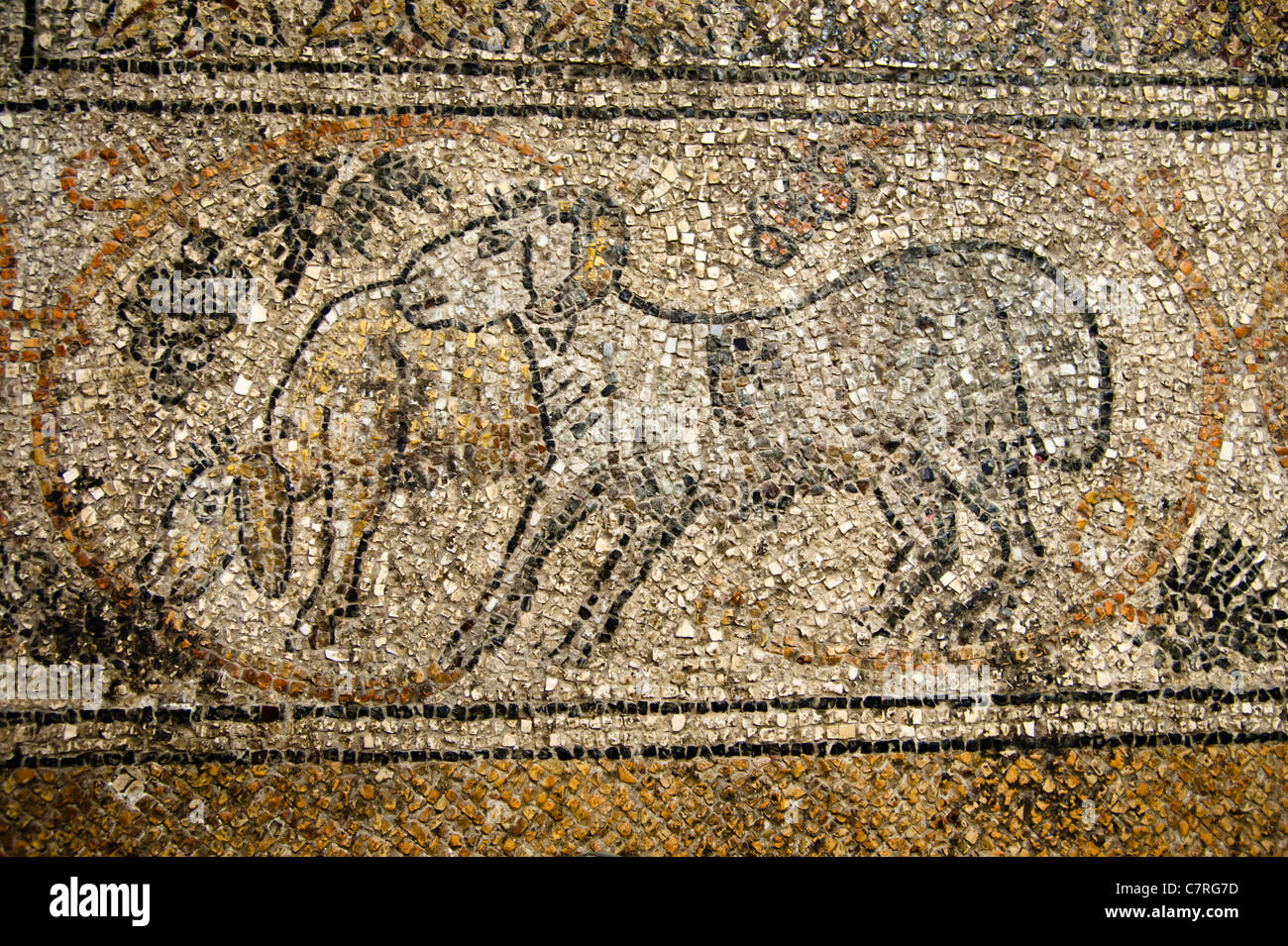 Mosaic of goats on the floor of the Church of the Holy Sepulchre ...