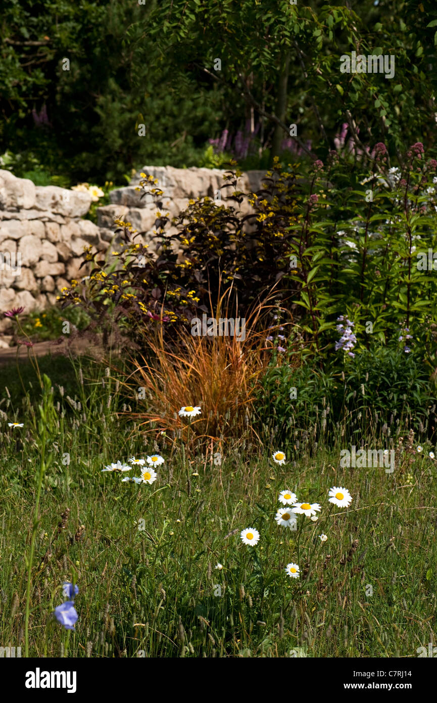 July wildflower show hi-res stock photography and images - Alamy