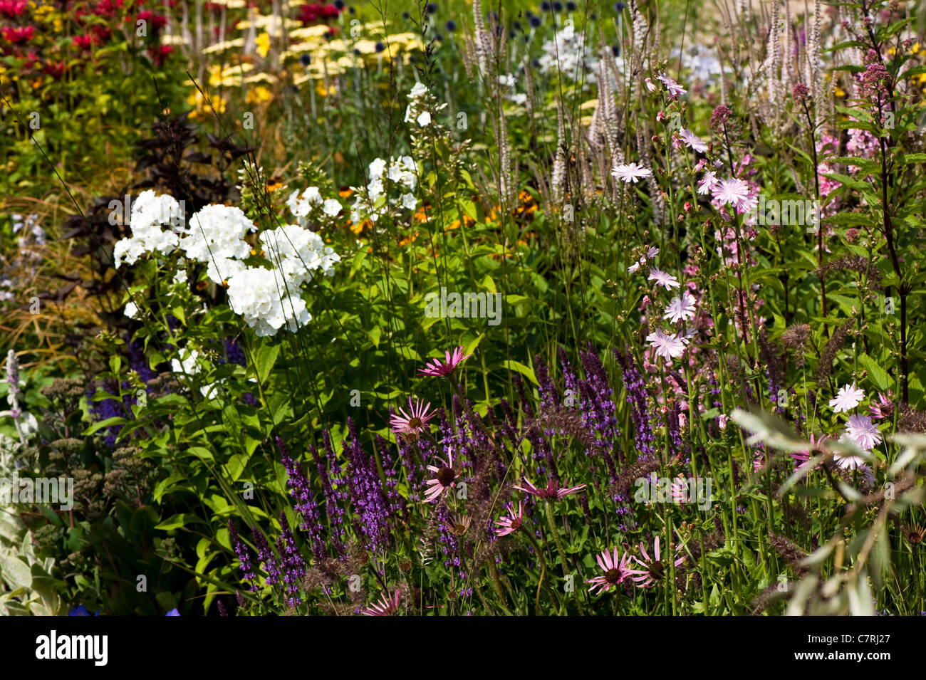 The Stockman's Retreat Show Garden at 2011 Hampton Court Palace Flower ...
