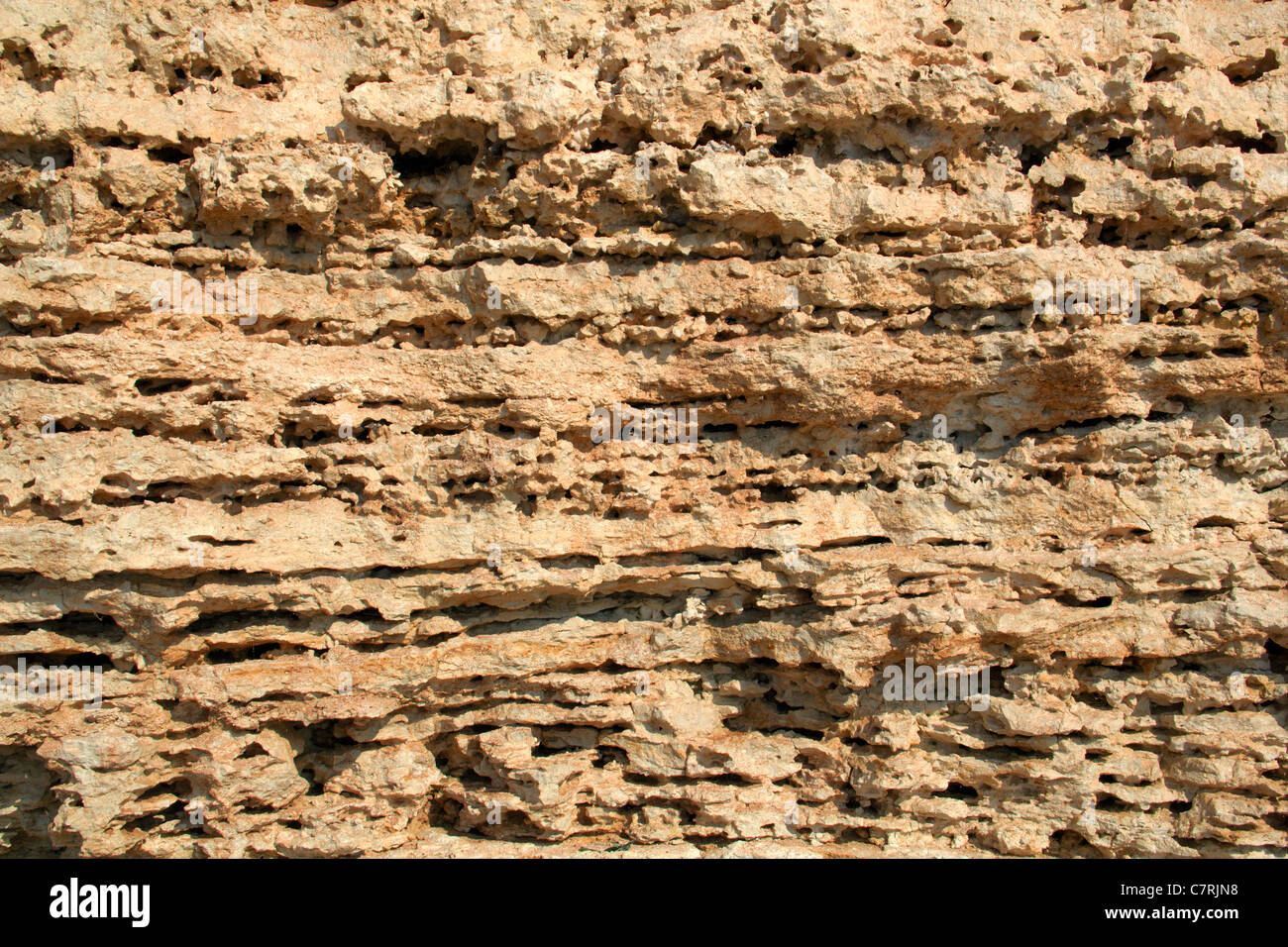 The limestone texture Stock Photo - Alamy