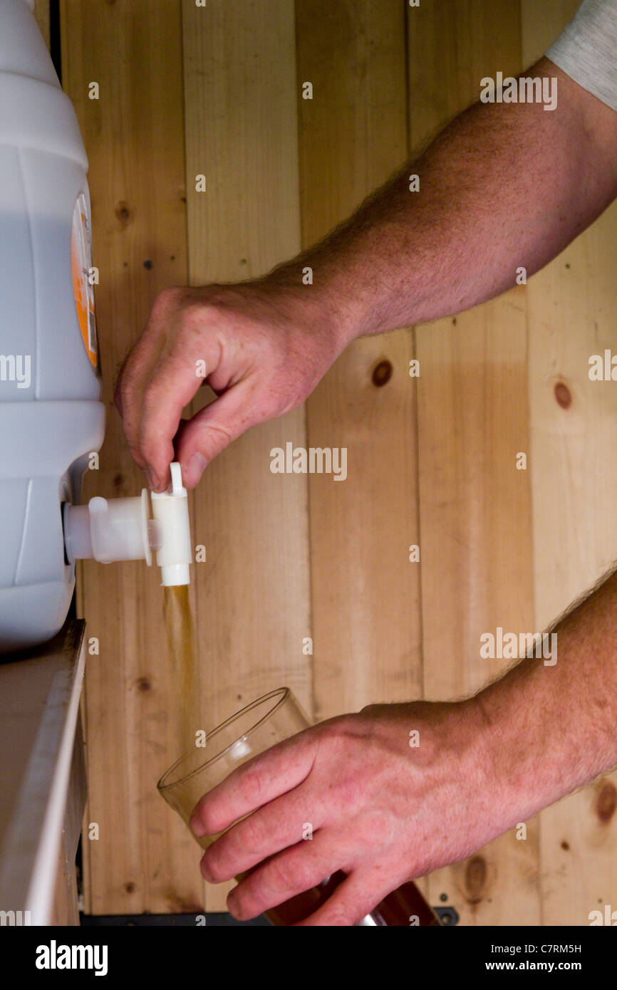 some one pouring a pint of homebrew Stock Photo - Alamy