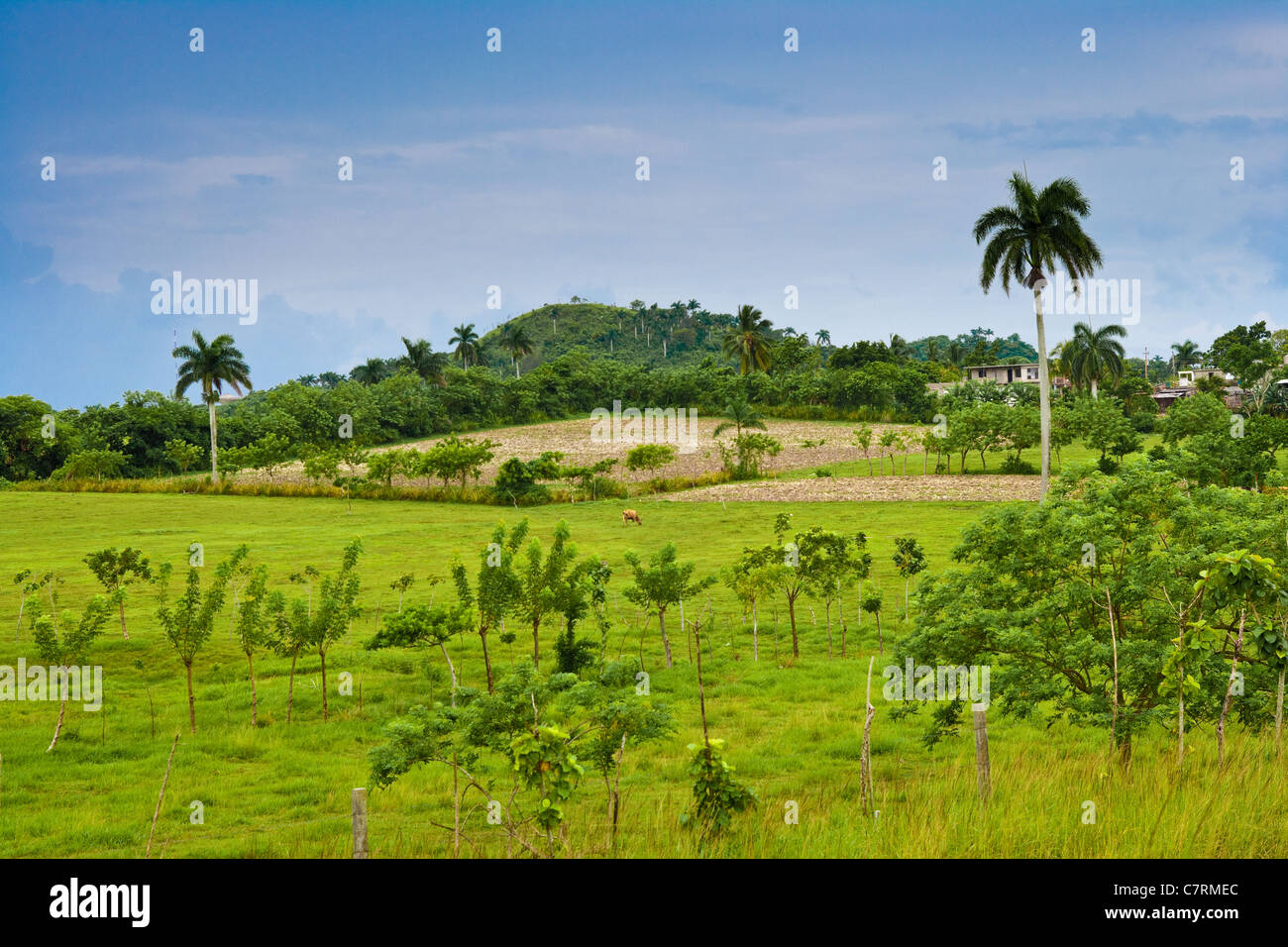The basics of farming hi-res stock photography and images - Alamy