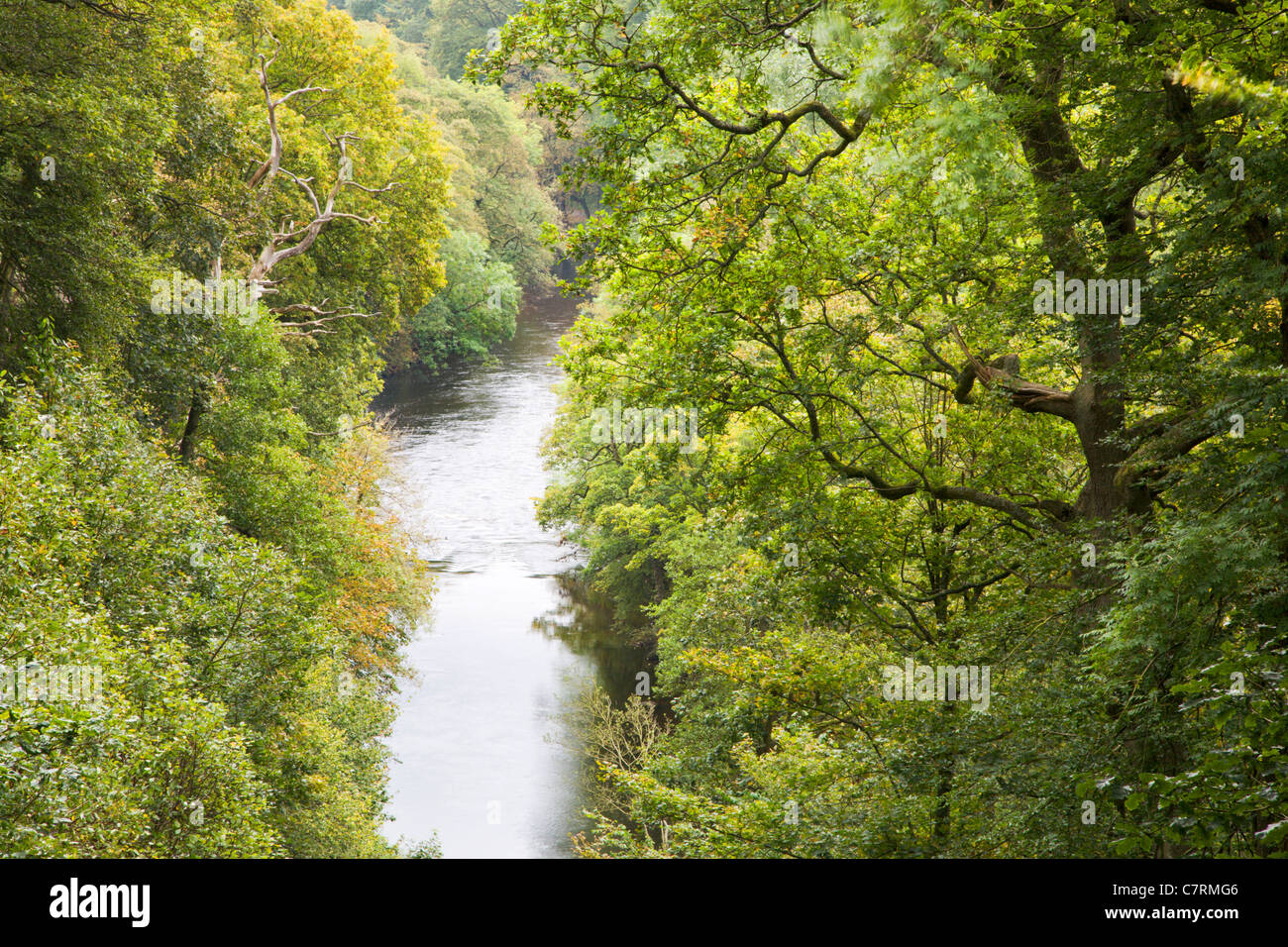 River wharfe and strid wood hi-res stock photography and images - Alamy