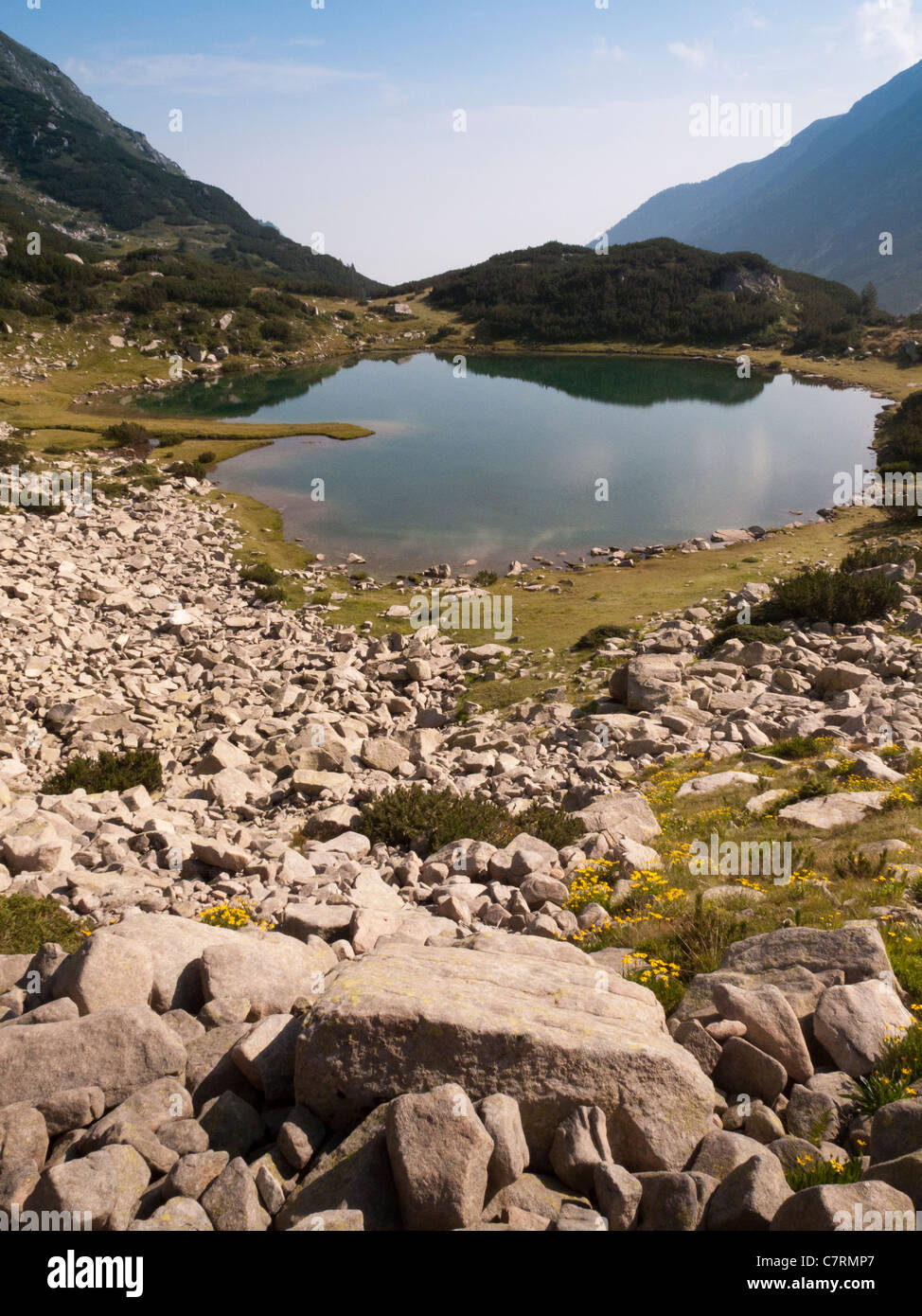 Pirin hi-res stock photography and images - Alamy