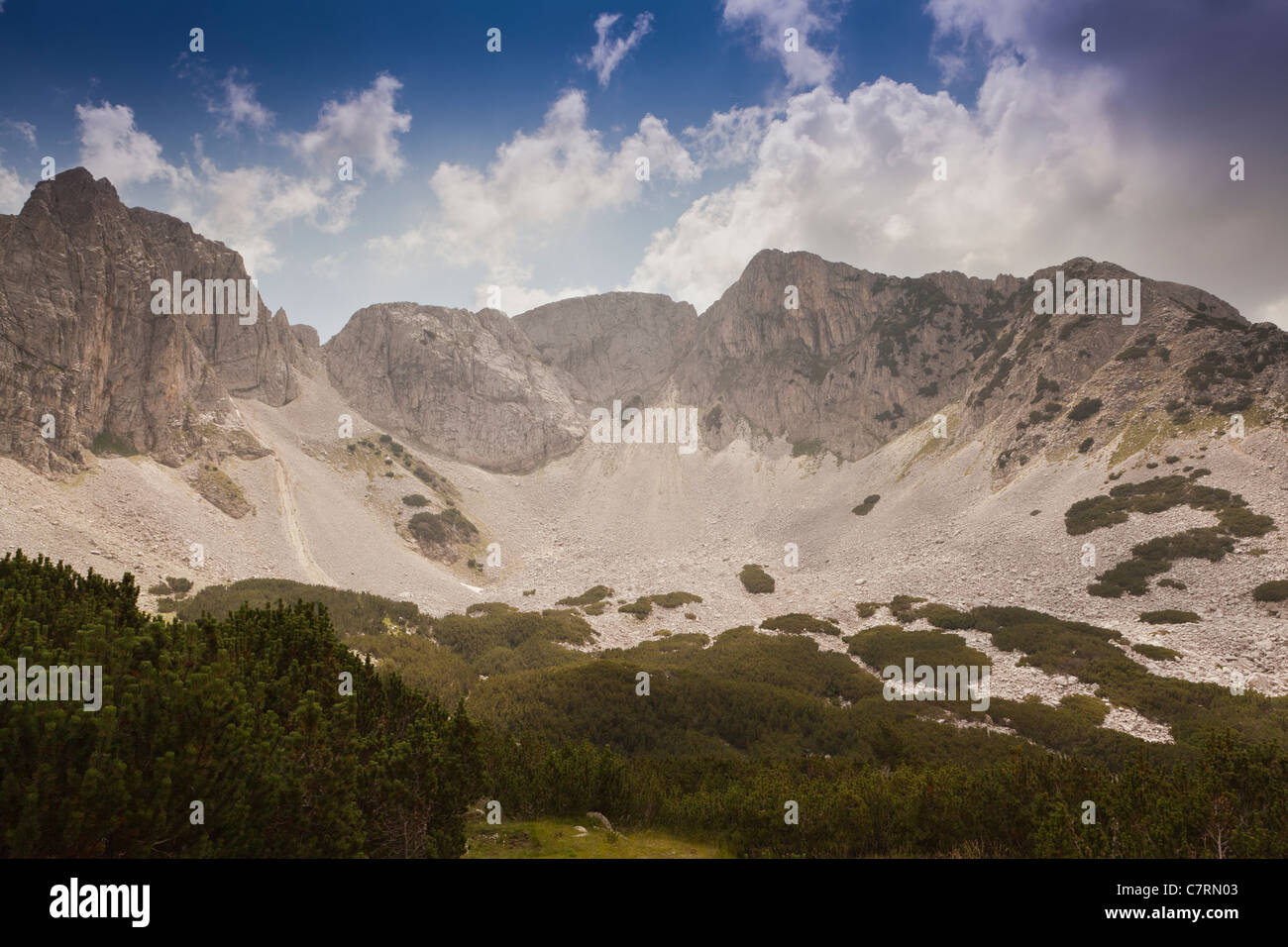 Pirin hi-res stock photography and images - Alamy