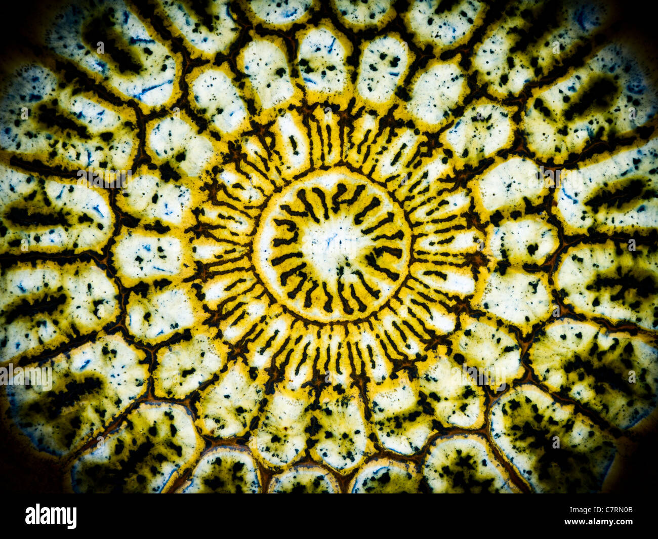 Hypnotic element hi-res stock photography and images - Alamy