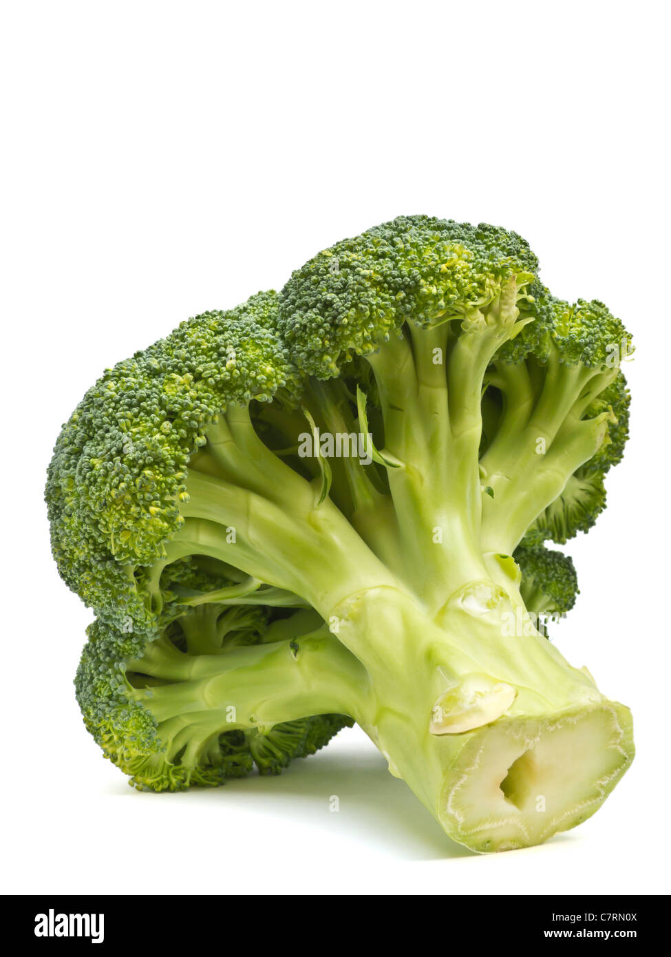 Broccoli on Side Stock Photo - Alamy