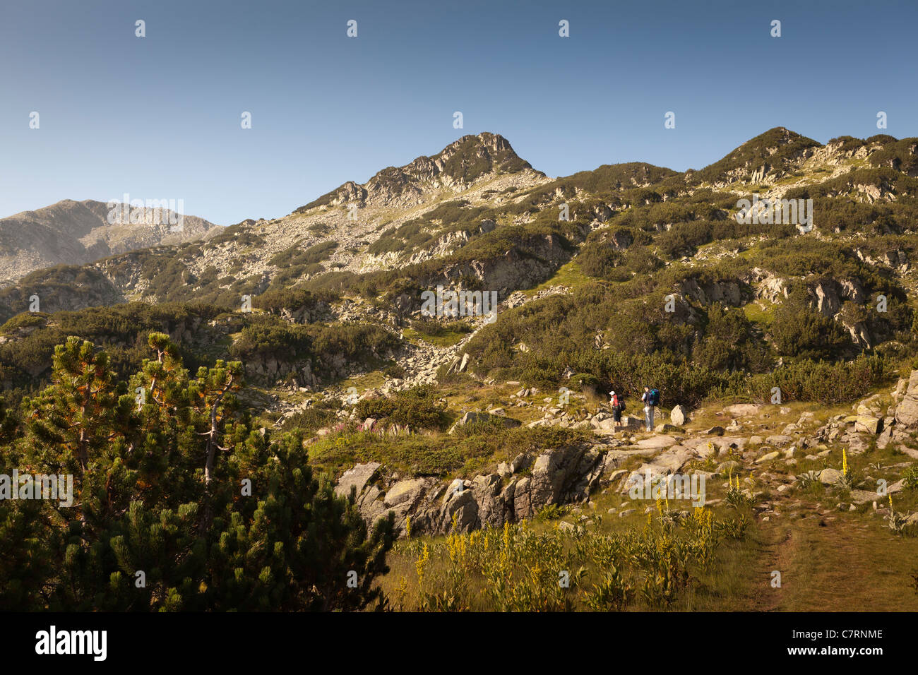 Hiking in Pirin mountain,Pirin National Park,Bulgaria,South Eastern ...
