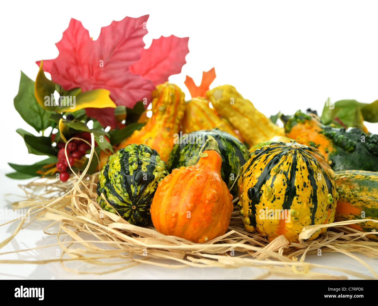 Small Colorful Gourds Collection With Autumn Leaves Stock Photo - Alamy