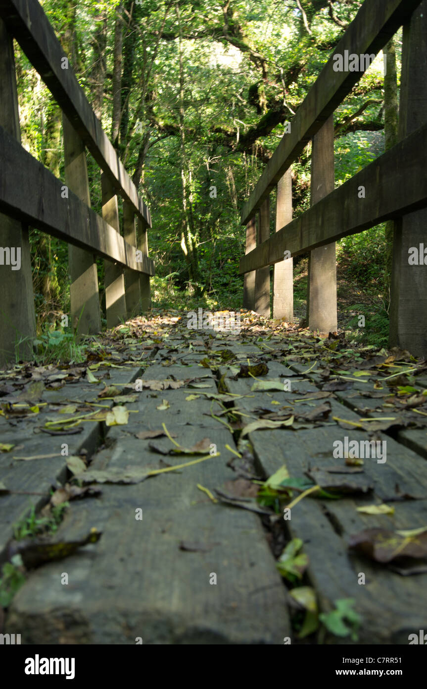 Bridge slats hi-res stock photography and images - Alamy