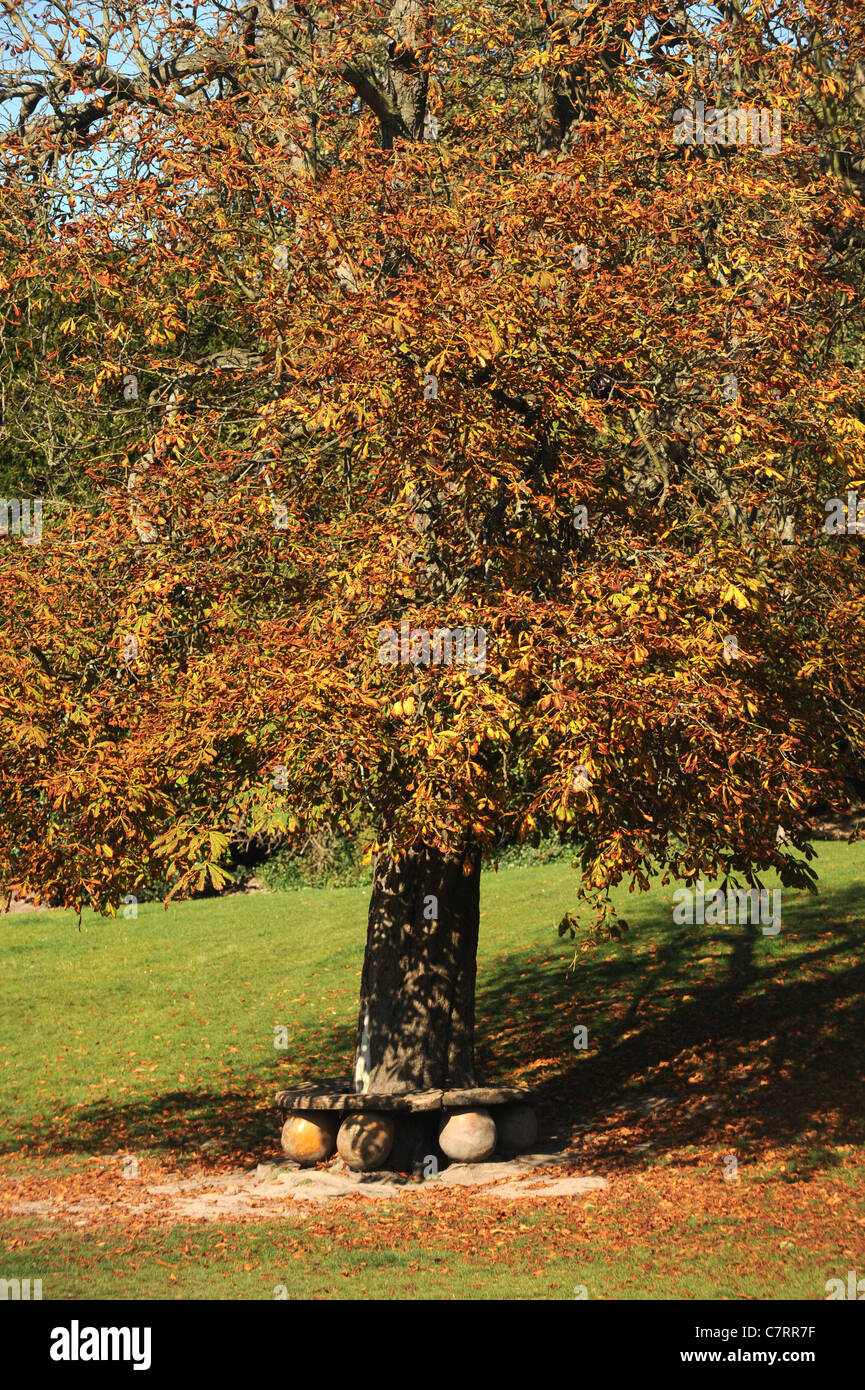 Autumn colours - Queens Park Brighton today as temperatures soar and ...