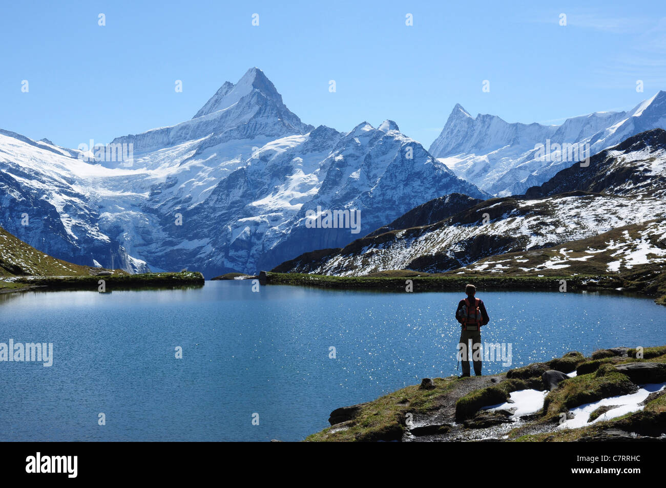 Schreckhorn and finsteraarhorn hi-res stock photography and images - Alamy