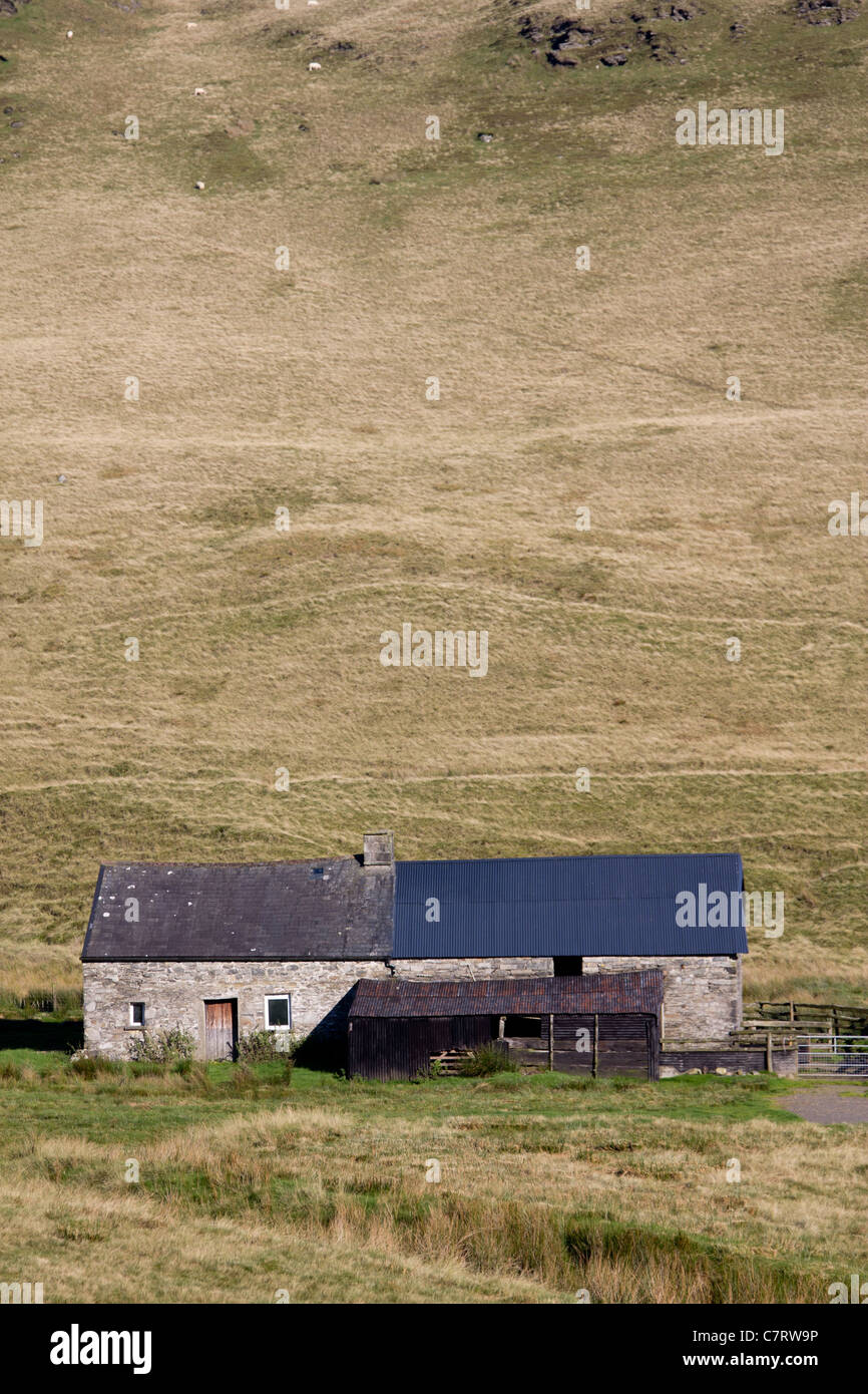Isolated hafod on Pumlumon, mid Wales. A hafod is a building used ...