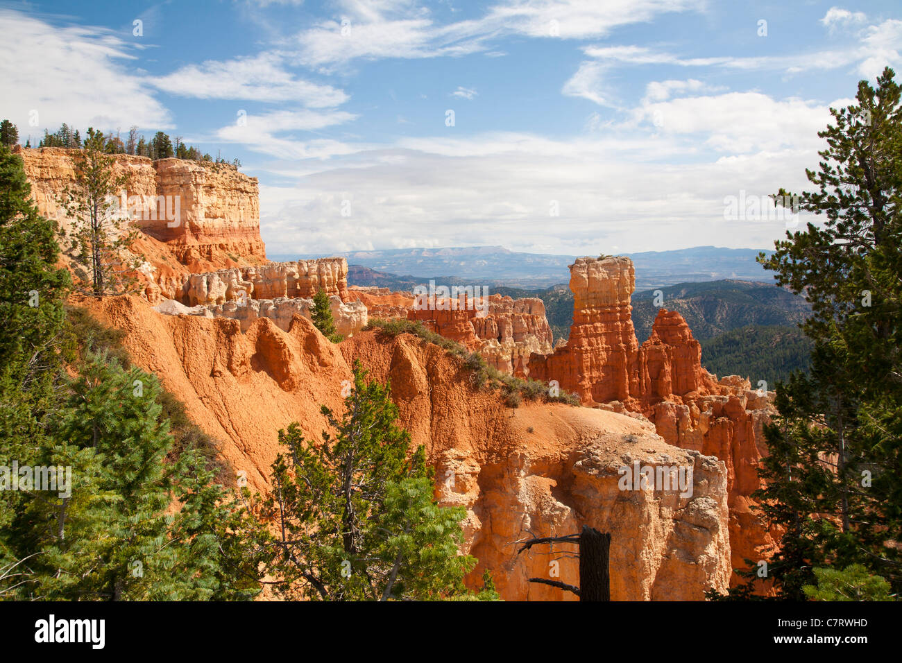 Bryce Canyon red cliffs Stock Photo - Alamy