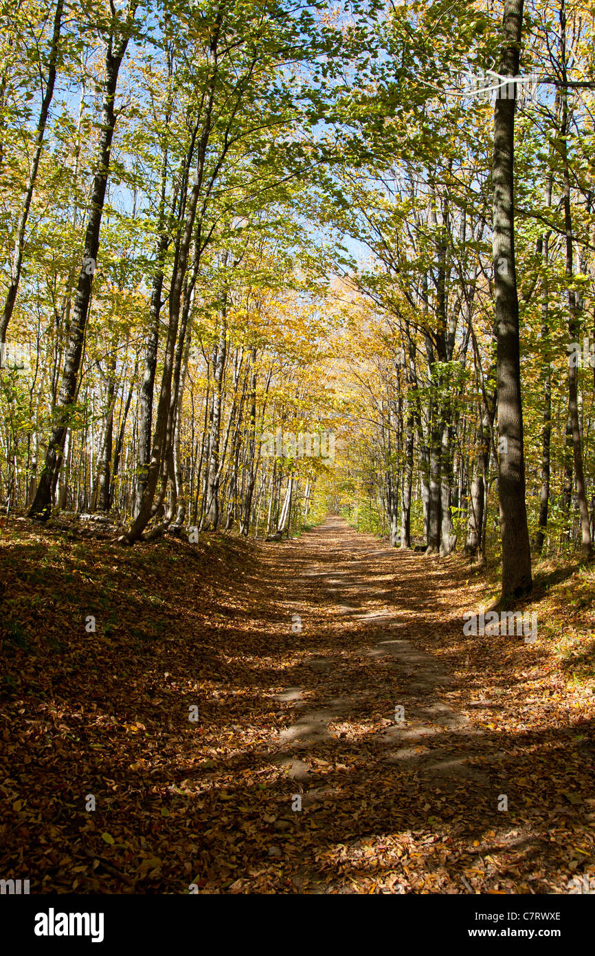 Path Through Forest, Mono Cliffs Provincial Park, Ontario, Canada Stock ...