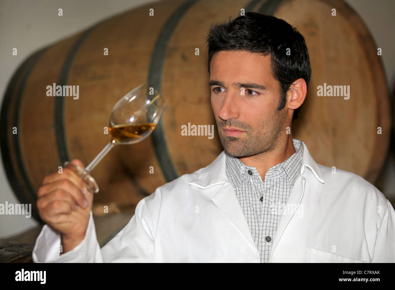 Sommelier examining wine barrel hi-res stock photography and images - Alamy
