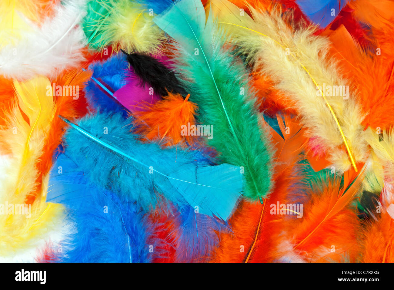 background of colored feathers of birds Stock Photo - Alamy
